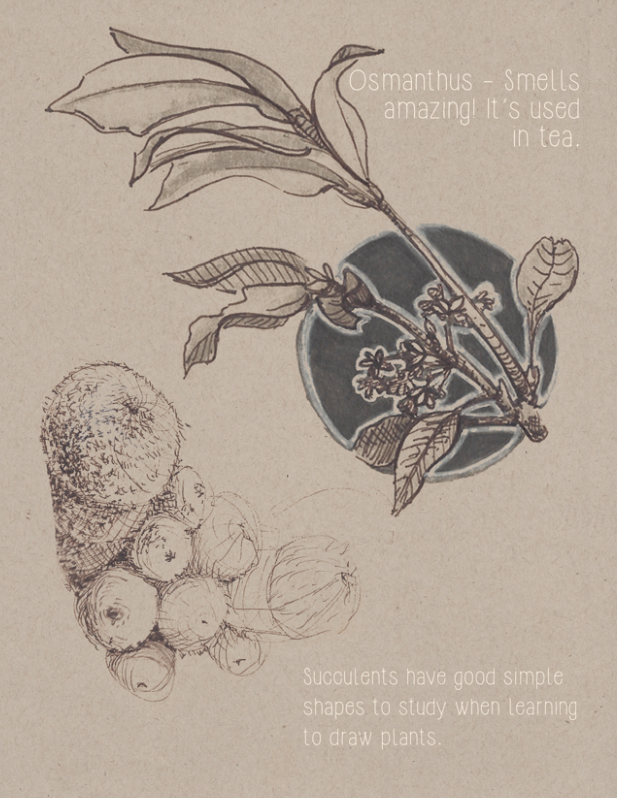 Warrior Spirit, Artist Heart: Dynamic Sketching with Peter Han