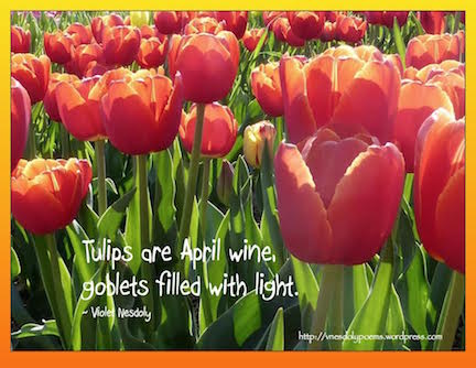 Beyond LiteracyLink: Spring's Seeds Gallery Unveiled