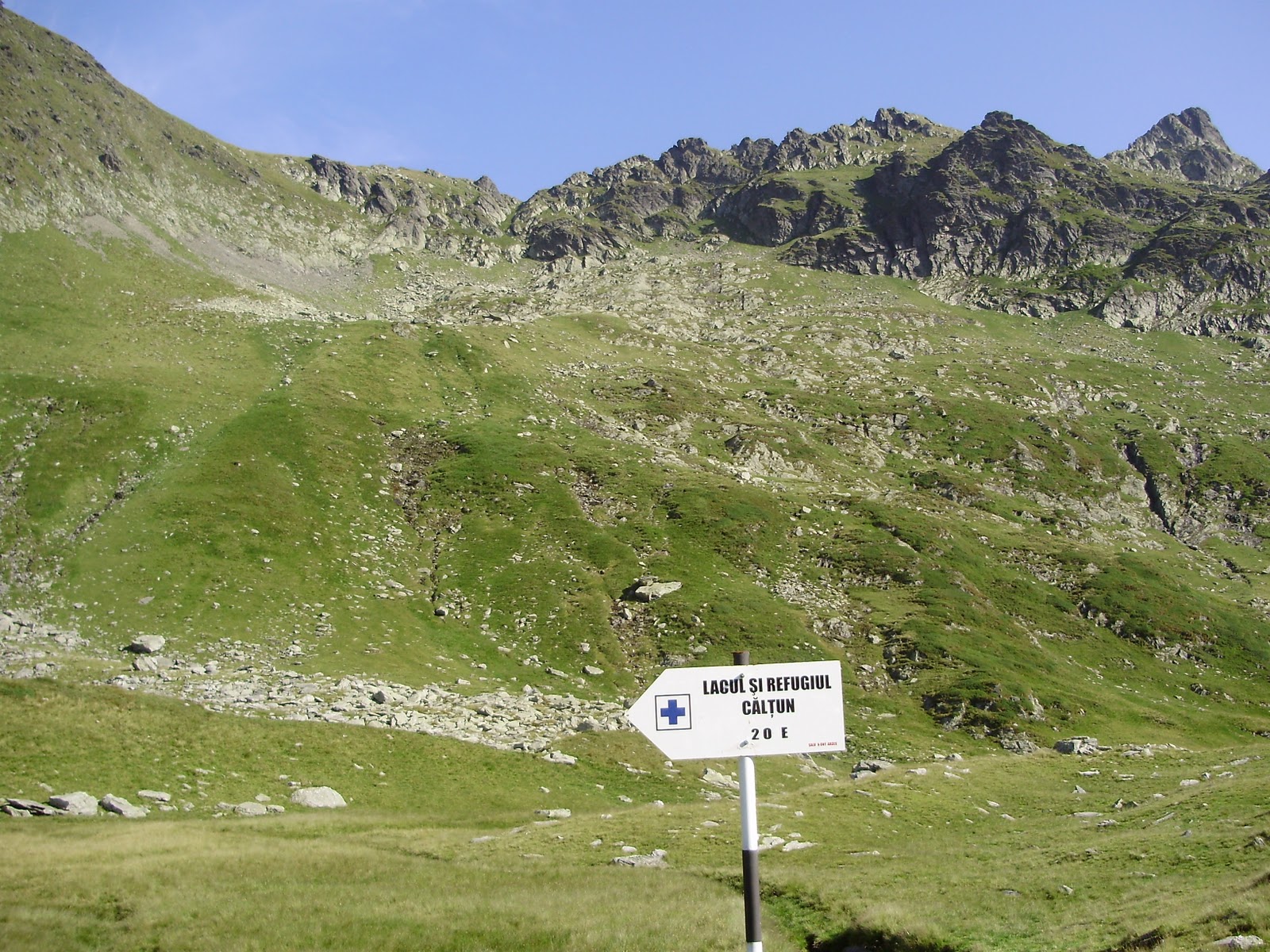 pe crestele muntilor: 15.08.2010-Muntele Paltinu-Ref. Caltun-Strunga ...