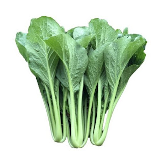 PENDUAN MENANAM SAWI YANG BAIK | Tips Petani