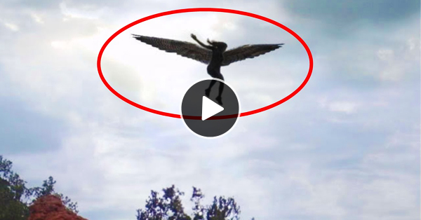 Caught on Video: Angels Creating Miracles on Earth