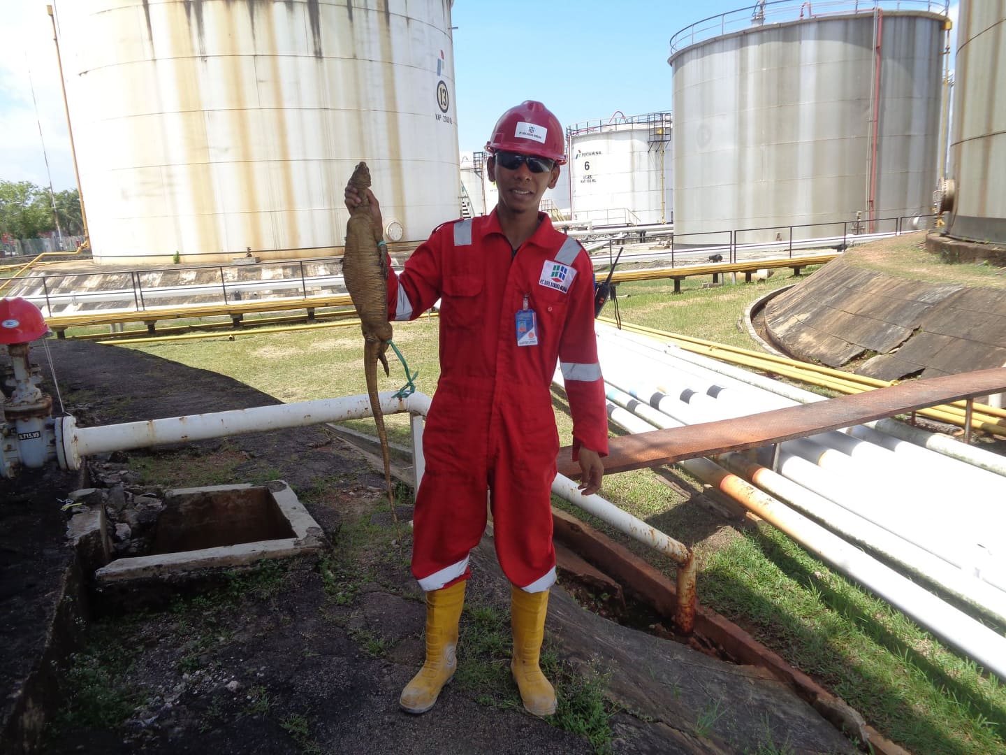 Info Akamigas Balongan Indramayu - Lulusandiploma.com