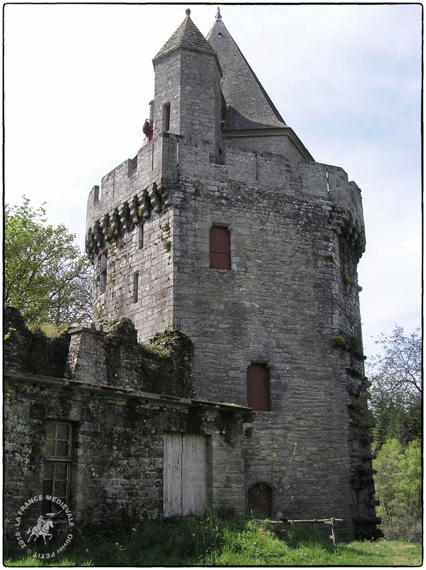 LA FRANCE MEDIEVALE: ELVEN (56) - Château-fort de Largoët : Tour ronde ...