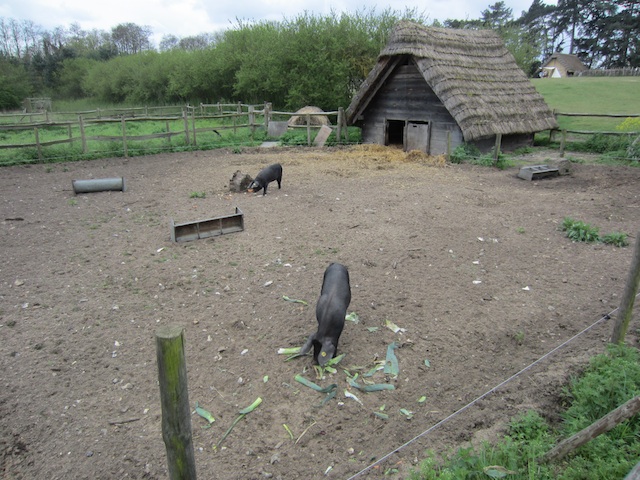 Zombie Parent's Guide: West Stow Anglo-Saxon Village, England