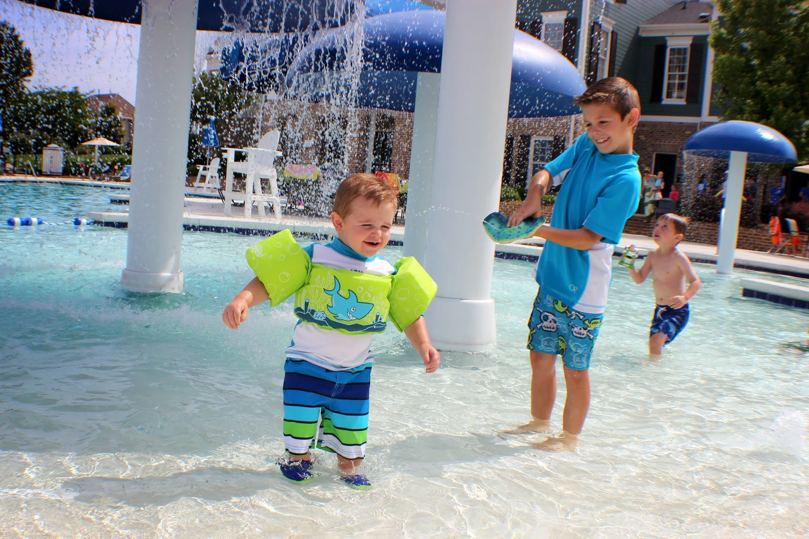 Snake & Snails, Sugar & Spice..The Galbraith Tales: BridgeMill Pool ...