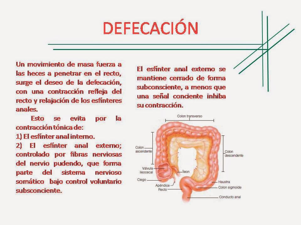 REFLEJO DE LA DEFECACIÓN