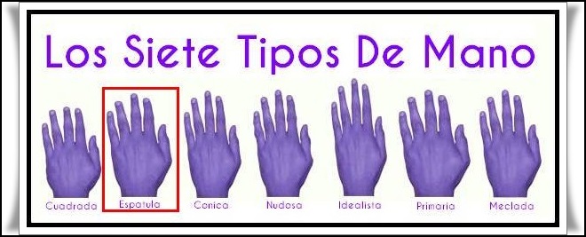 Las Siete Formas De Las Manos - - Las Revelaciones del Tarot