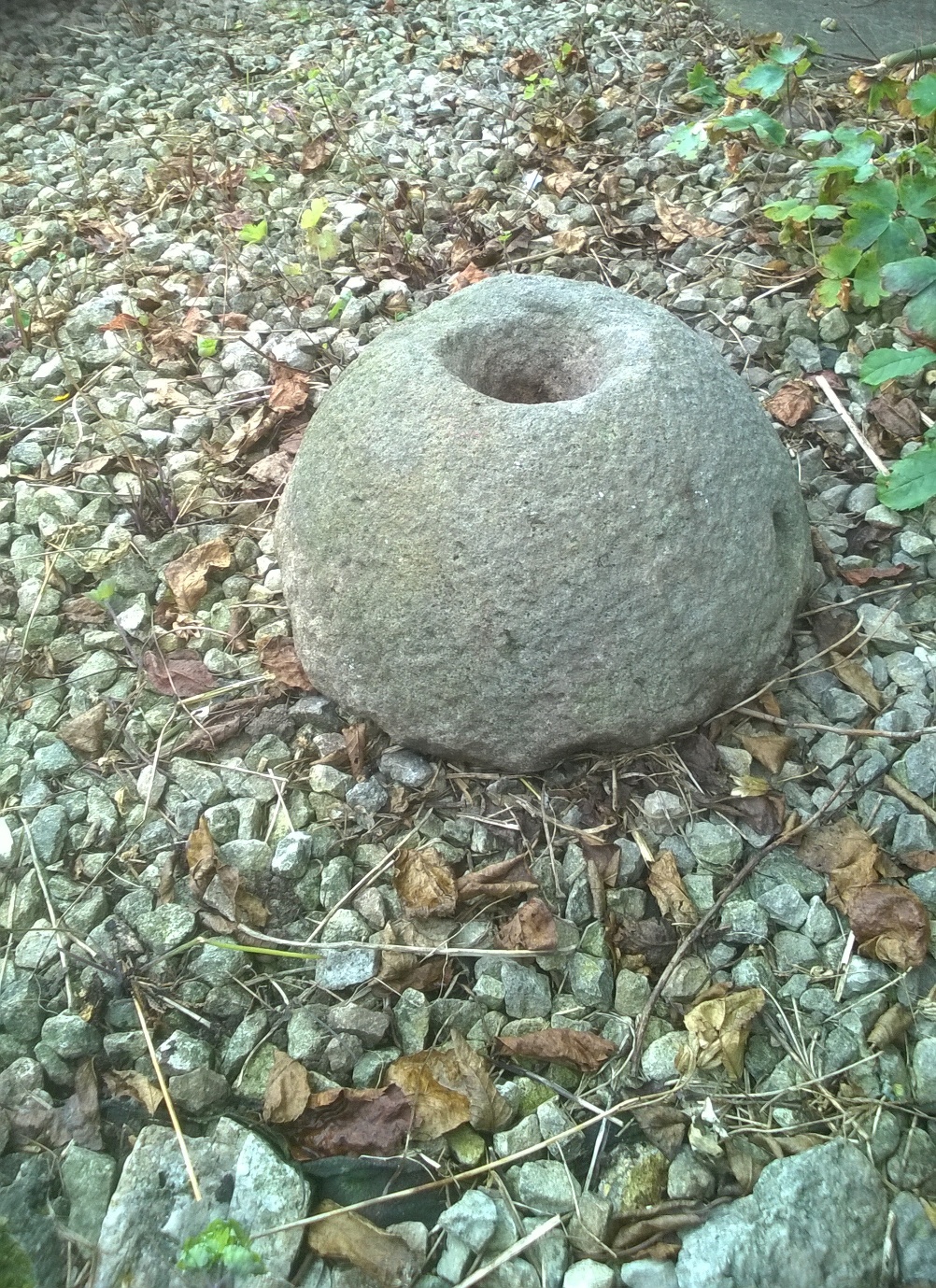 Mauseus: Iron Age or Roman beehive quern from the lower Wharfe valley