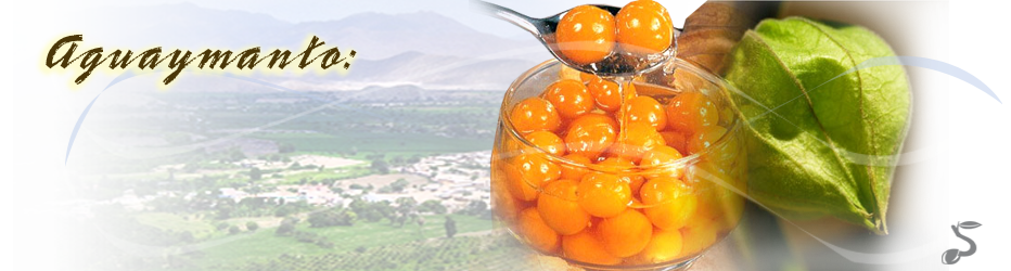 Salud Vida y Consejos: Conoce el extraordinario poder del aguaymanto ...