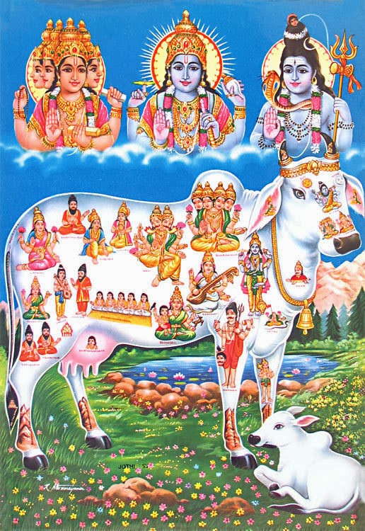 Uttarayana 2014 - Hinduism