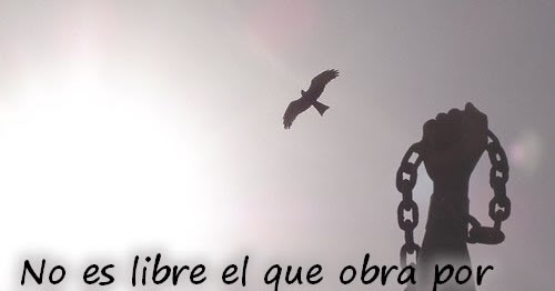 QUIÉN ES LIBRE : HABLANDO CORTO Y CLARO