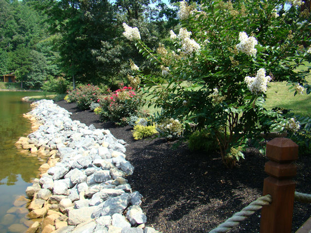 Blue Ridge Foothills & Lakes Virginia Master Naturalists: Buffer ...