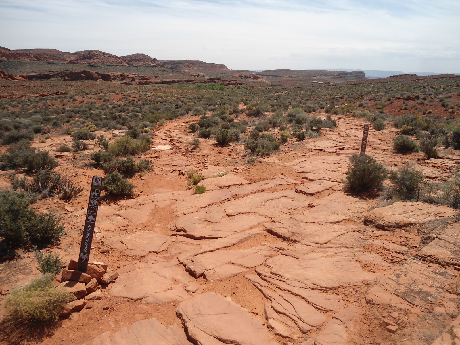 Myatt's Hikes: Chuckwalla Trail, Red Cliffs National Conservation Area