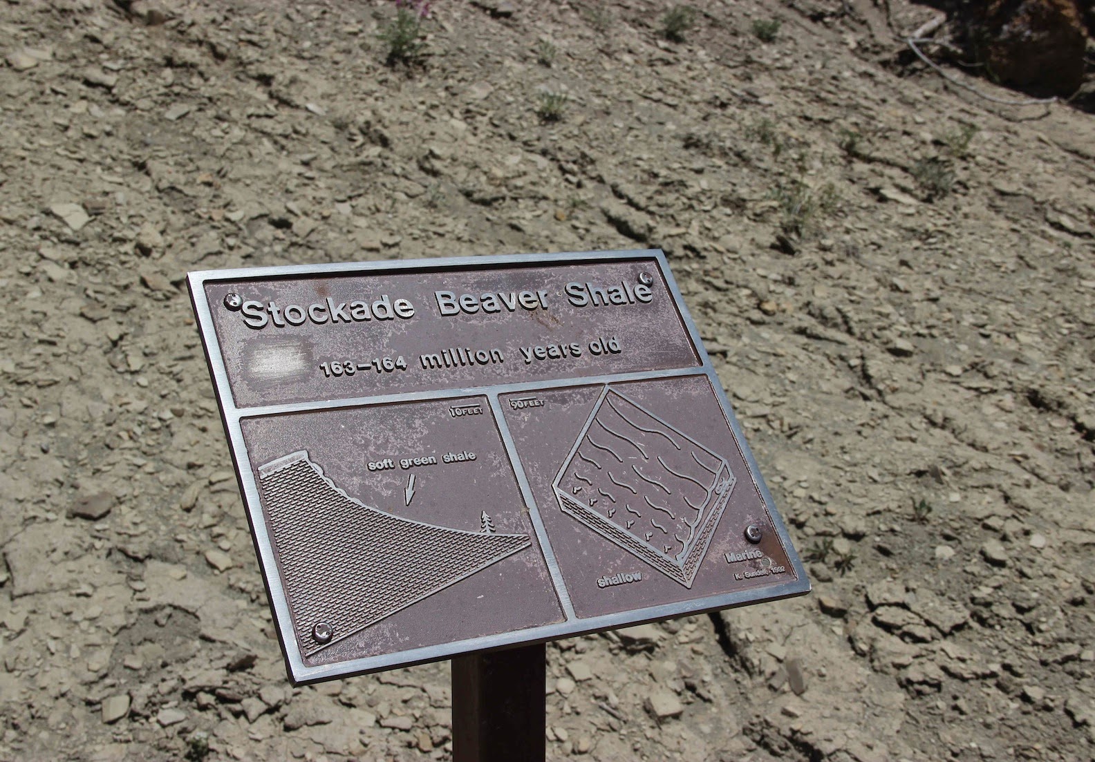 In the Company of Plants and Rocks: Hunting Pterosaurs by the Sundance Sea