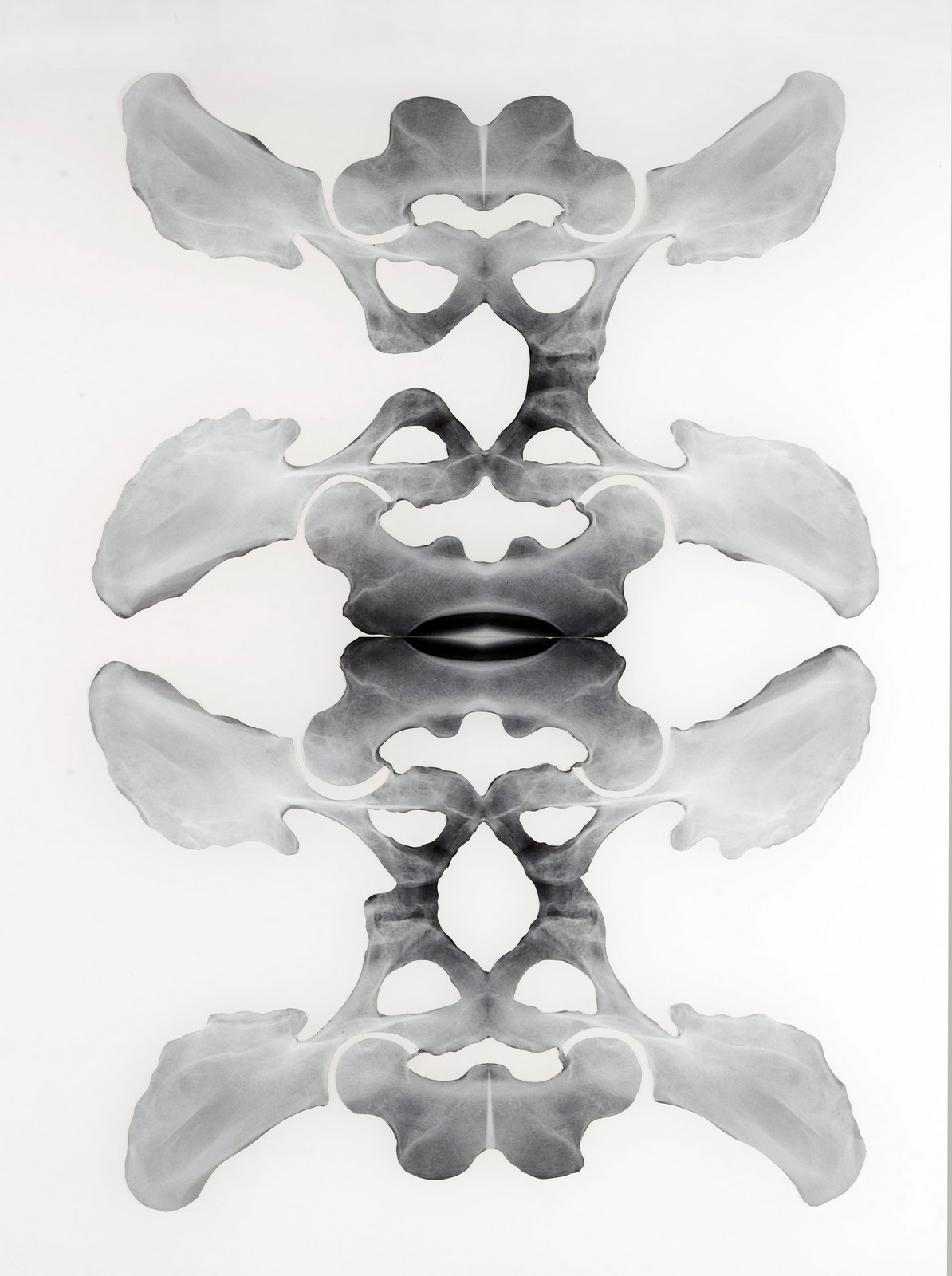 Jason Eden: X - Rays