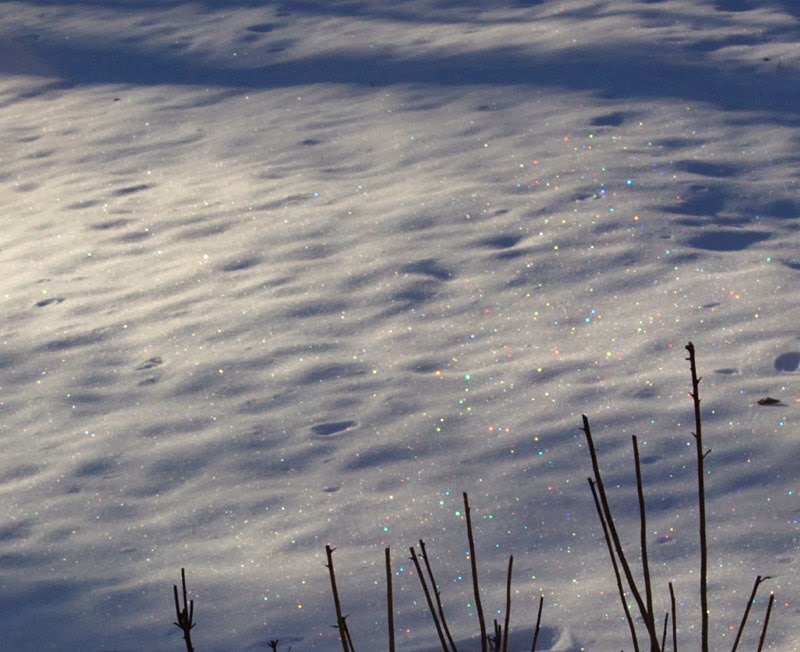 Gurney Journey: Chromatic Snow Sparkles