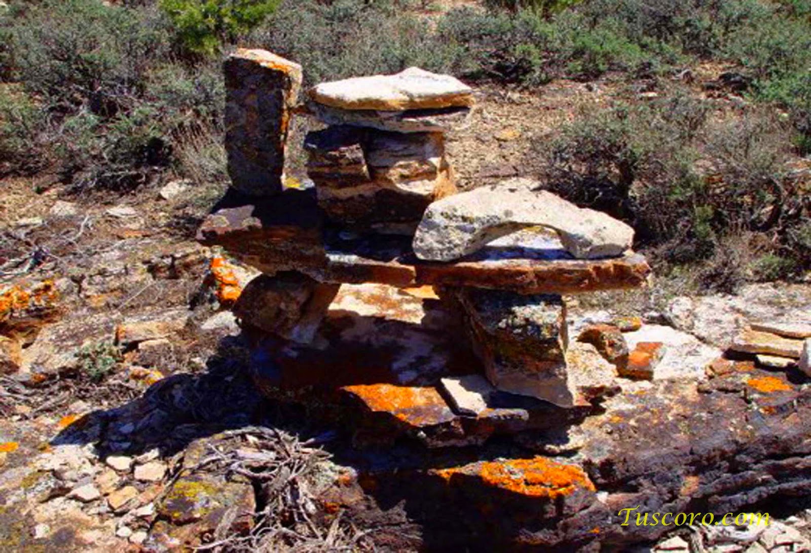 Tuscoro: Destruction of the Aurora Monuments, Documentation Project.