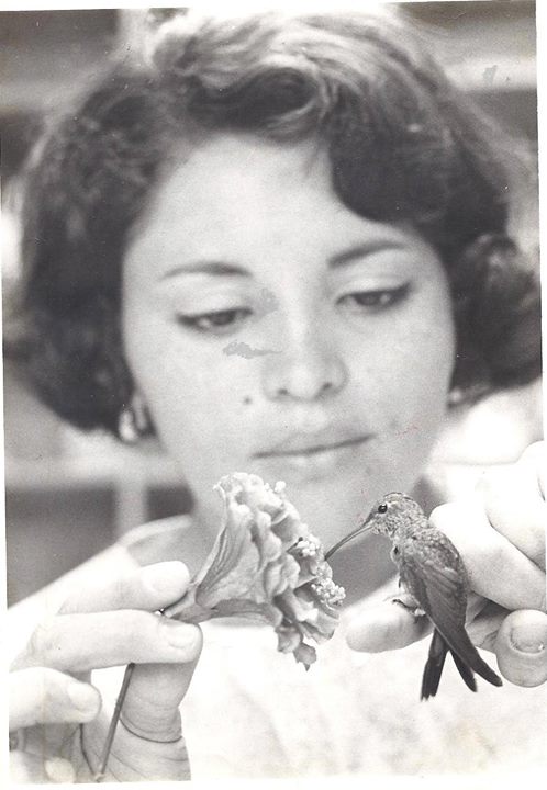 Brownsville Station: 1969 ~ Beauty and the Bird (Janie G. Tejada)