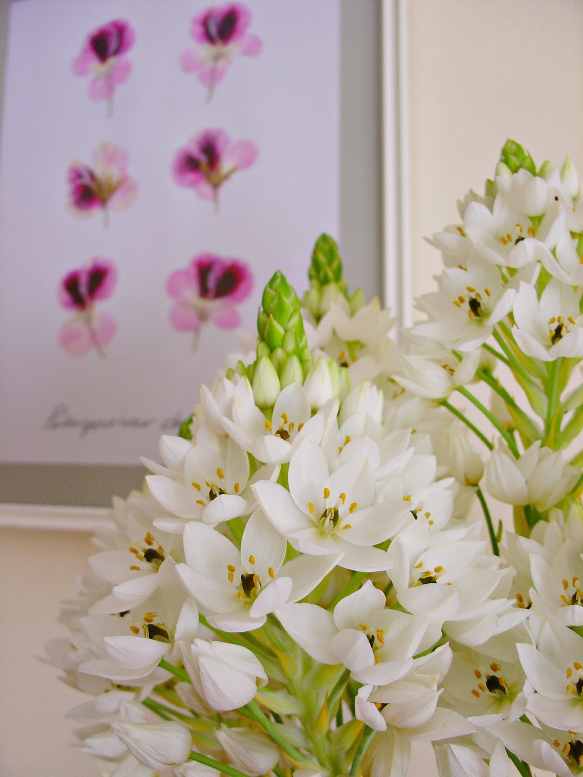 Flor Beijinhos de Mãe | Blog Hello You