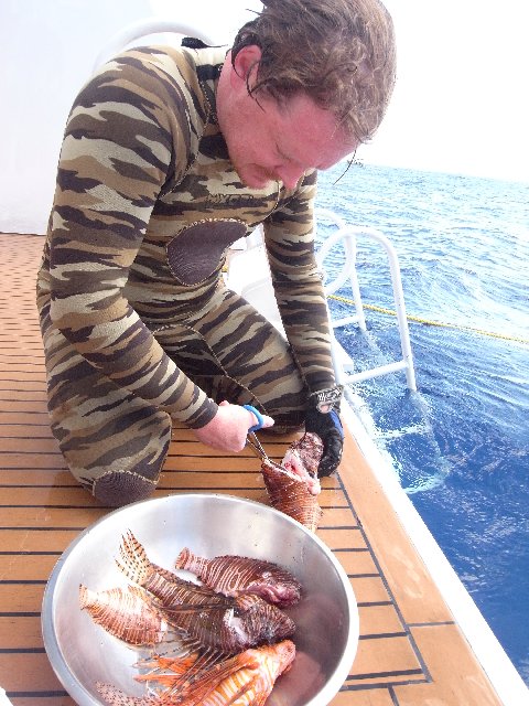 Lionfish Hunter: Killing Lionfish in Roatan, Honduras