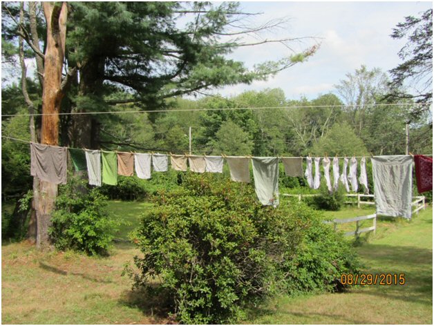 The Lewis Family Farm: Finally....a Clothesline!