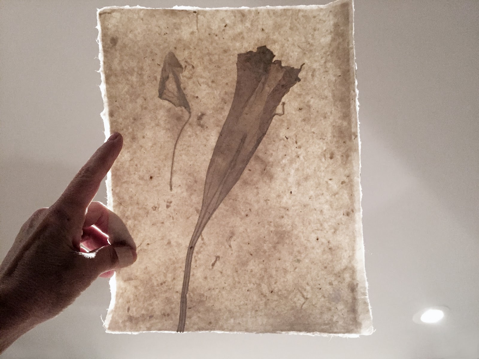 first steps in Paper Making!