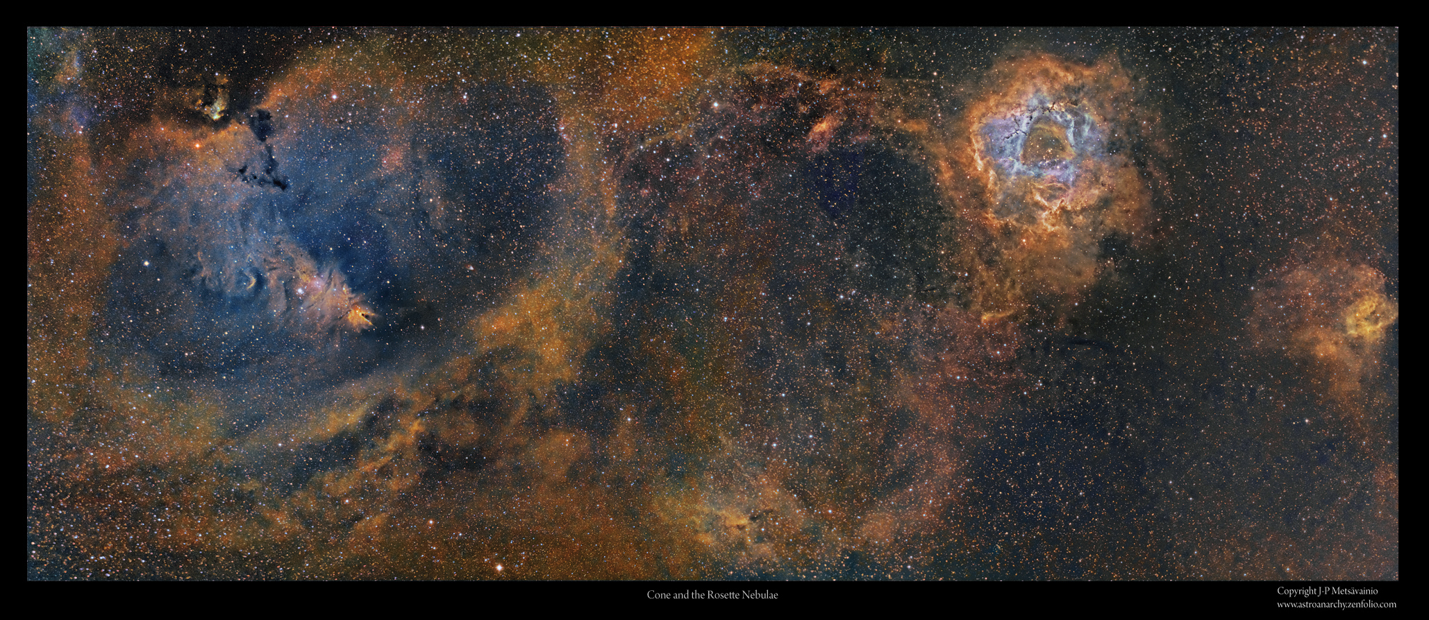 Astro Anarchy: Christmas Tree cluster, Cone and the Rosette Nebulae