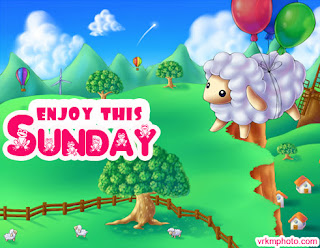 All Kinds Beautifull Wallpapers: Happy Holiday and Have a Great Sunday