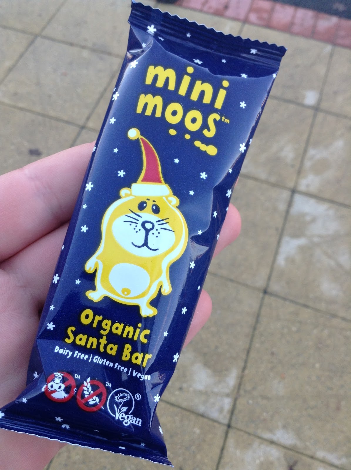 Mini Moos Organic Santa Bar | Having study