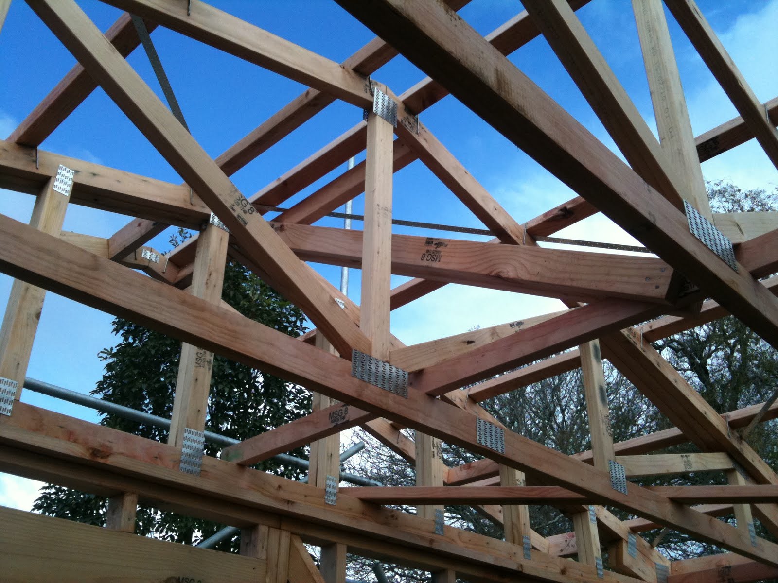 Kim Maea Nugent: Brace Elements