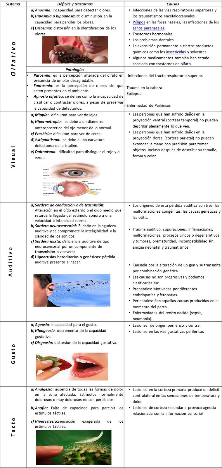 Déficits y transtornos más comunes