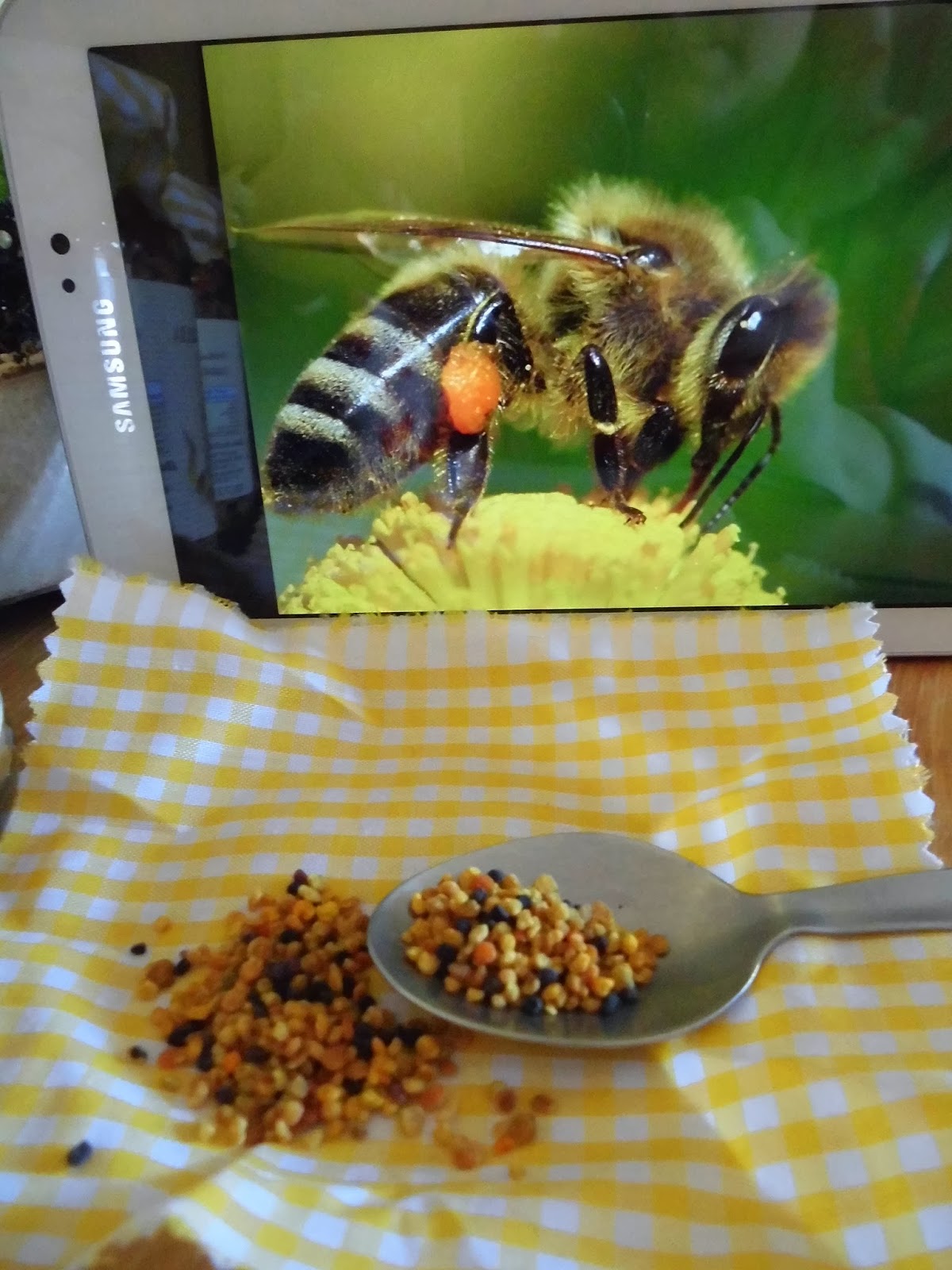 Estilo y hogar: El polen de abeja como alimento. Propiedades del polen.