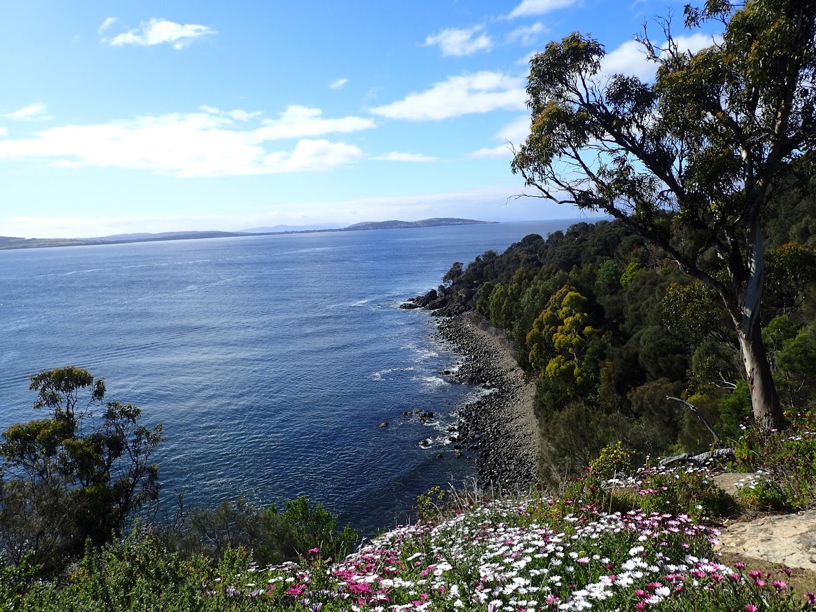Fossil Cove | Hiking South East Tasmania