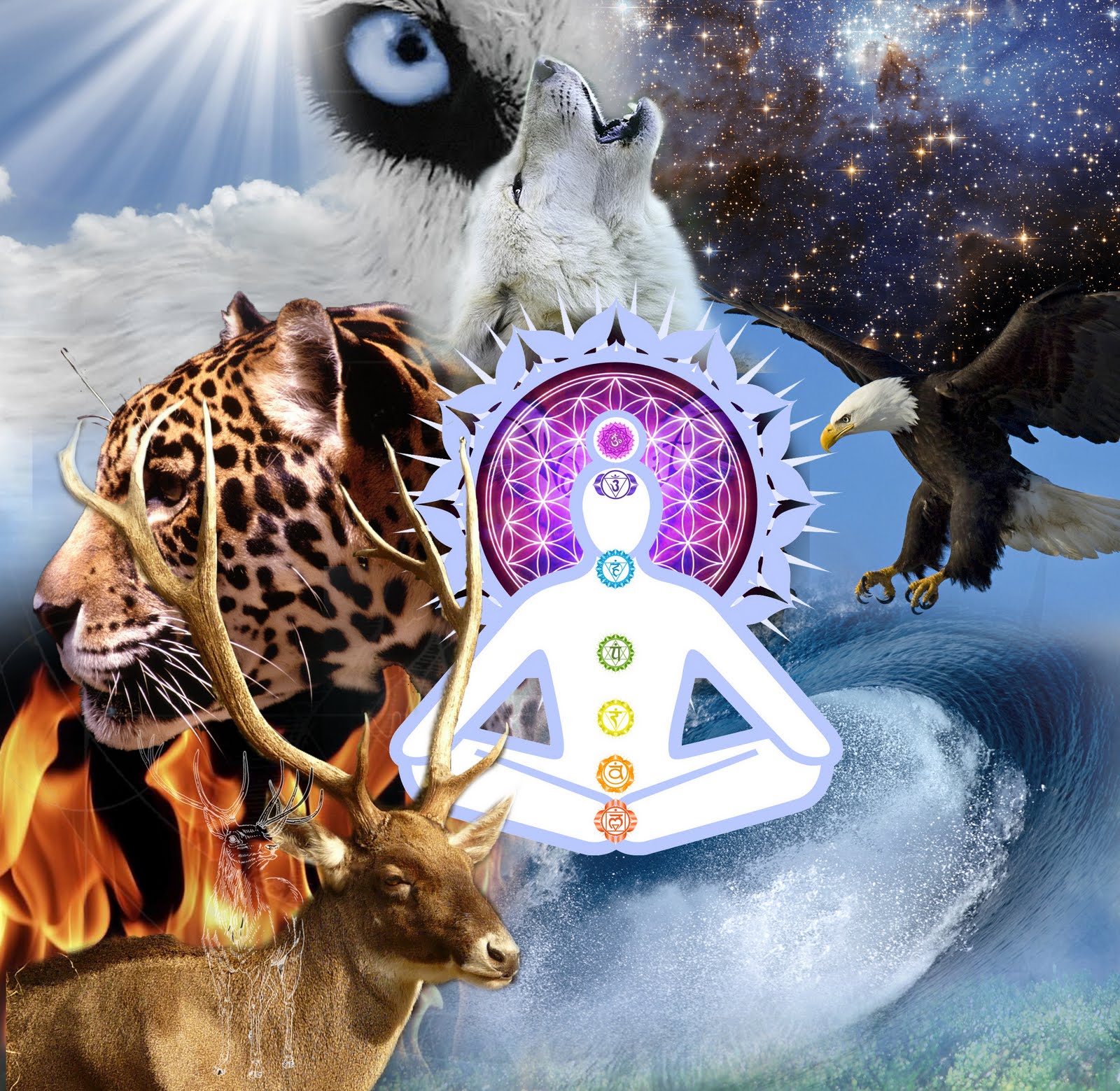 Andere Ogen: Poweranimals