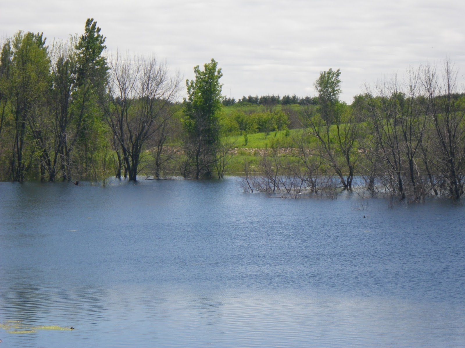 The Lost Grove Lake Mapping Project: It's Getting Closer To Full