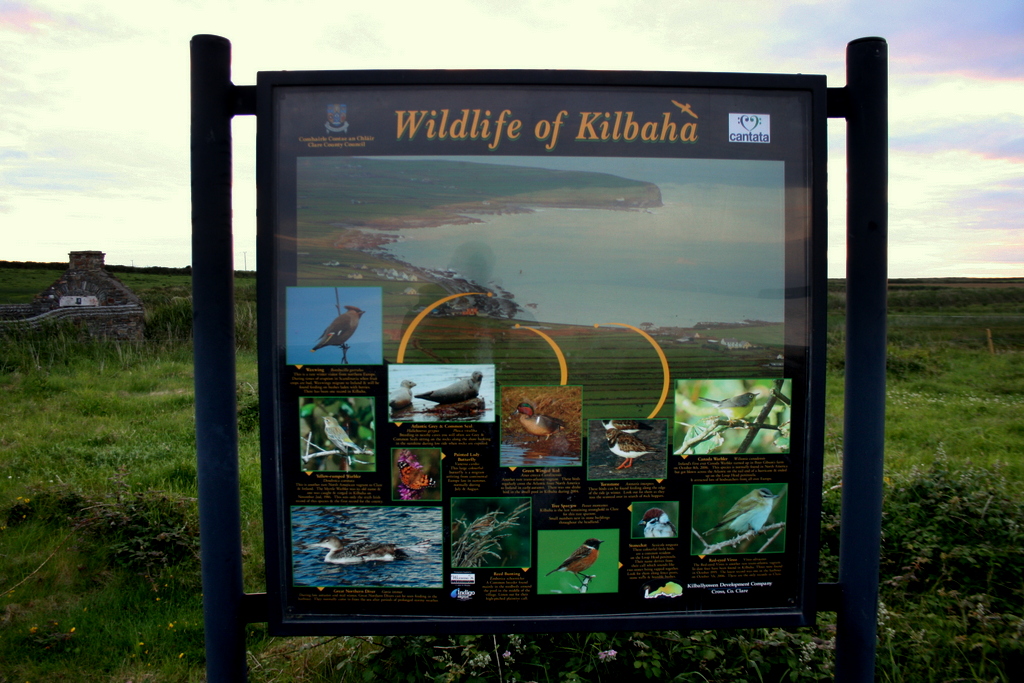 A life at the shoreline. .. by Jeff Copner : Kilbaha