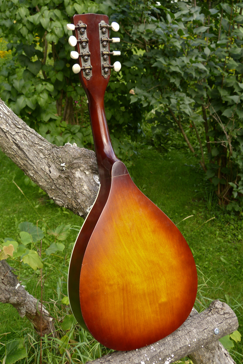 1971 Harmony H331 "Stella" Flatback Mandolin