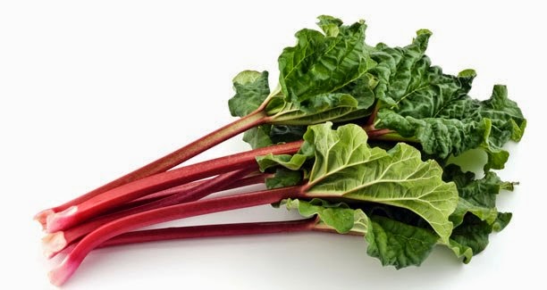 VARJACOM KROZ SVET: RABARBARA biljka (rhubarb)