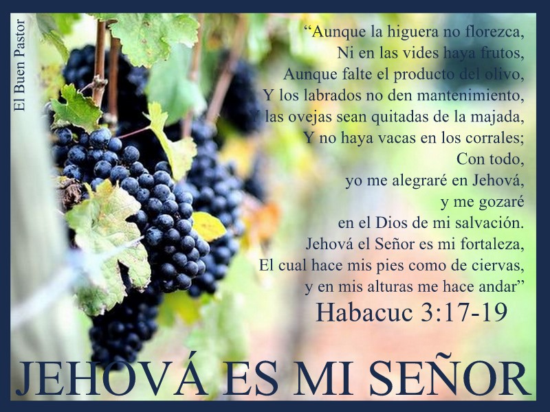 YO SOY EL BUEN PASTOR: Habacuc 3:17-19