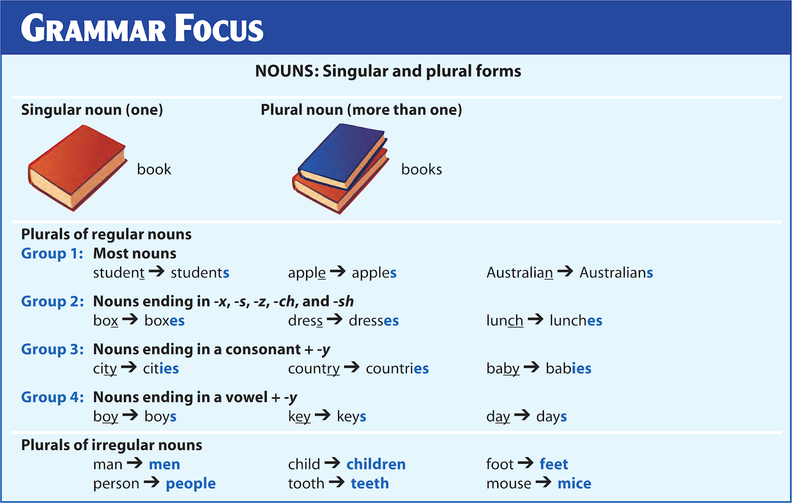 50 Grammar Focus Posters