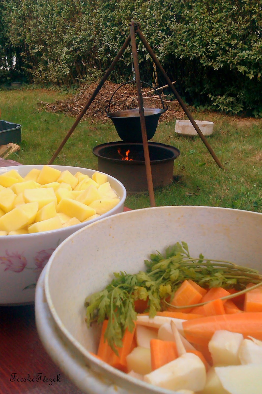 Bogrács gulyás - FecskeFészek