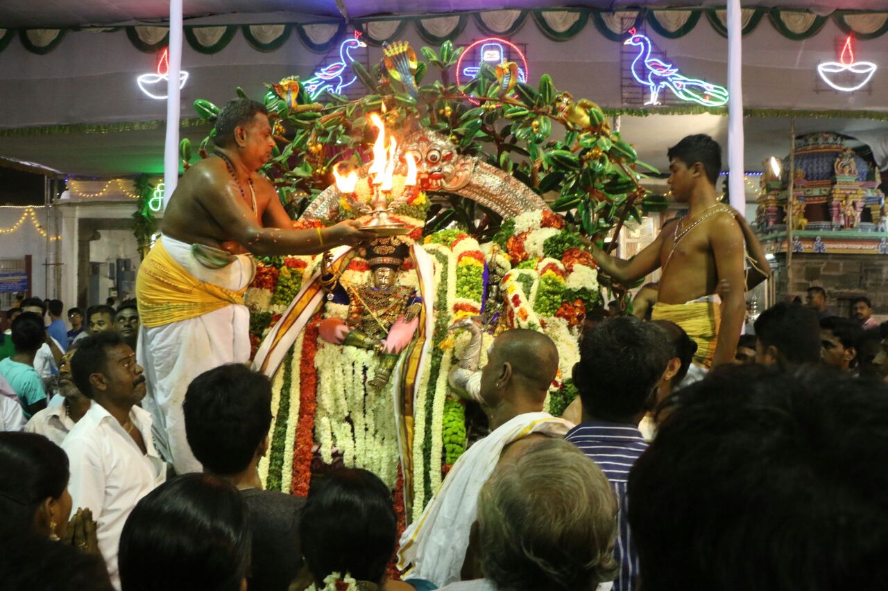 Mylapore Panguni Fest: Punnai Maram Vahanam taken out yesterday night