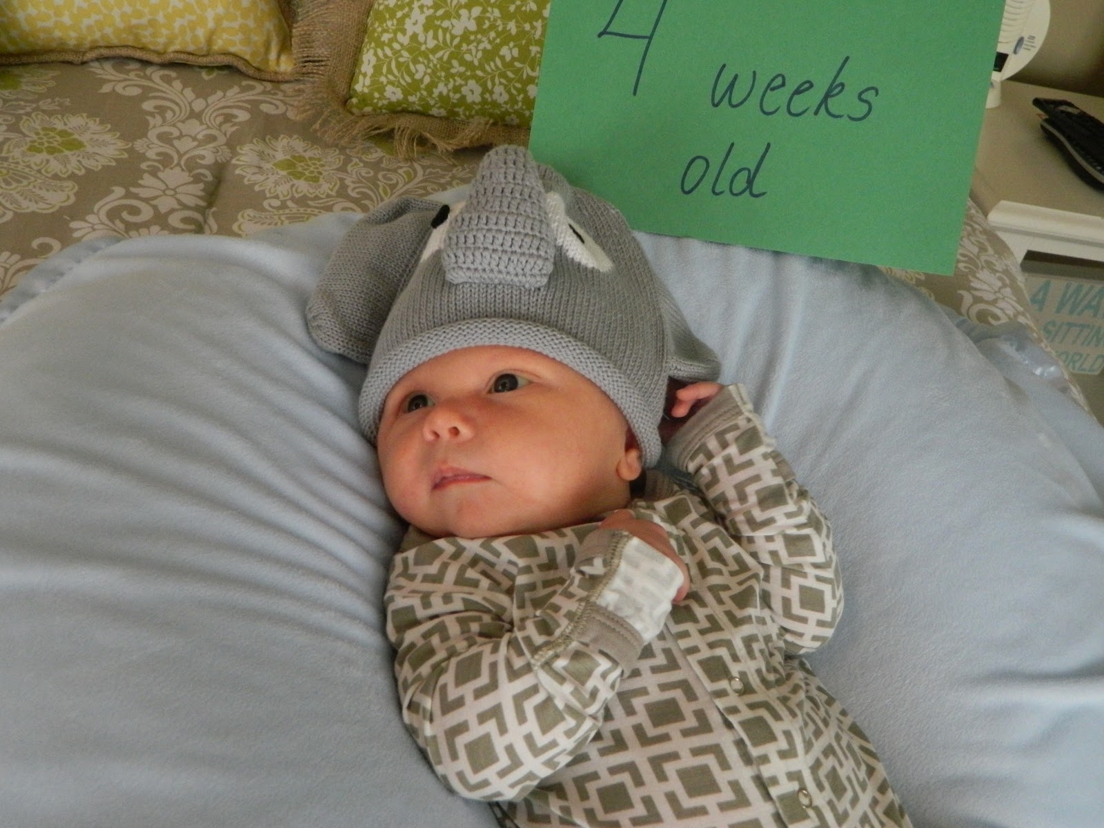 This is the Day!: 4 Weeks Old