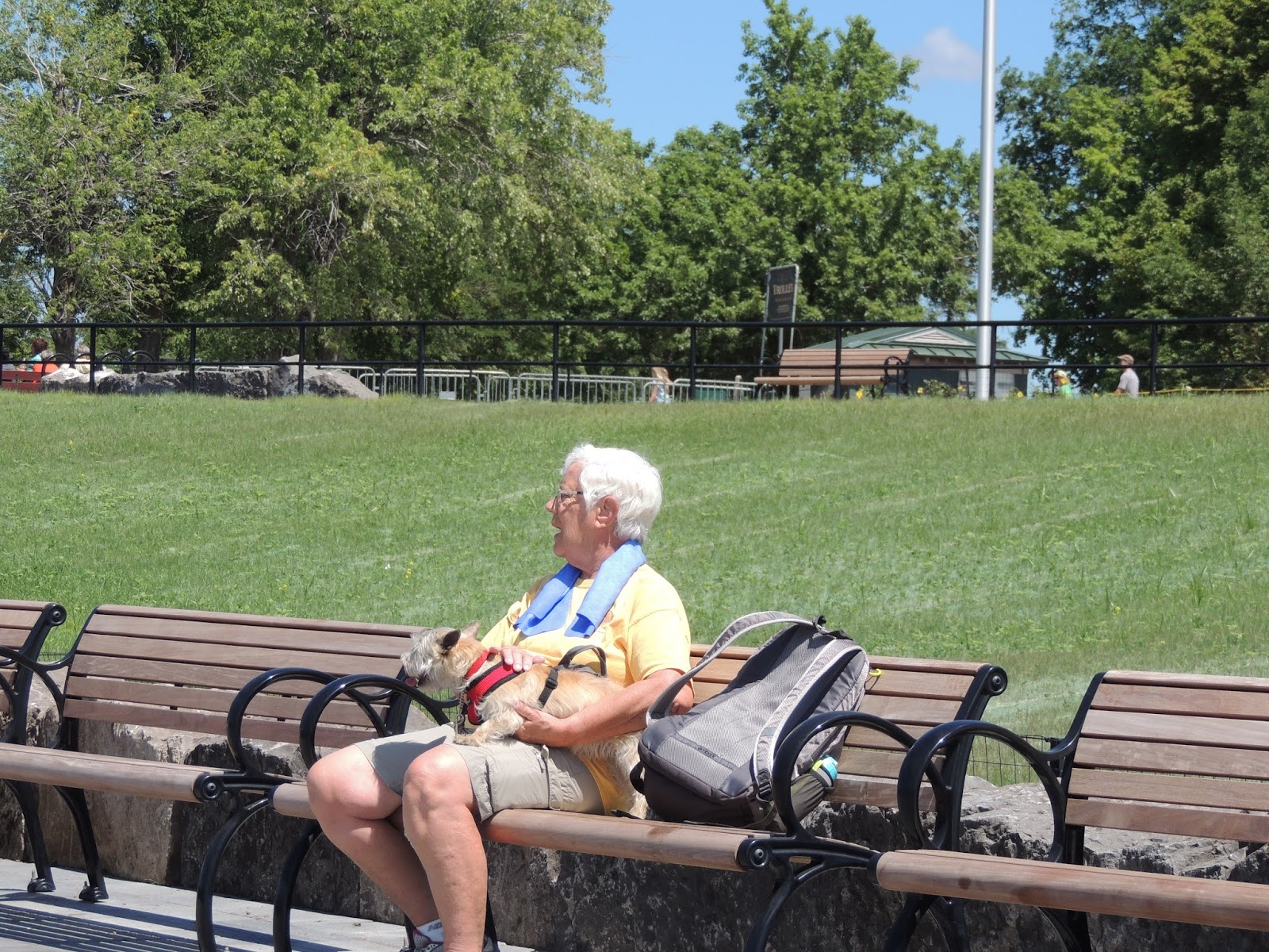 From Camping to Glamping: Niagara Falls USA Side and Lockport Locks