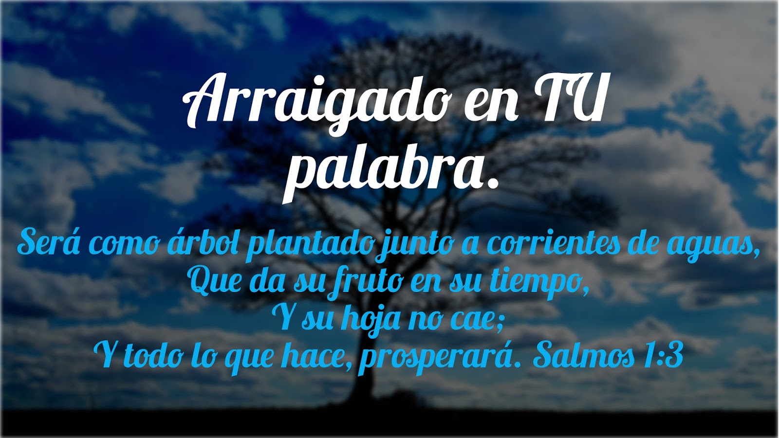 FIORAN FELIZ MATOS: Arraigado en la palabra
