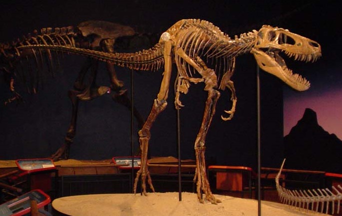Prehistoric Beast of the Week: Tyrannosaurus: Beast of the Week