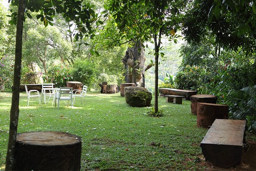 Hotel Tree of Life, Kandy