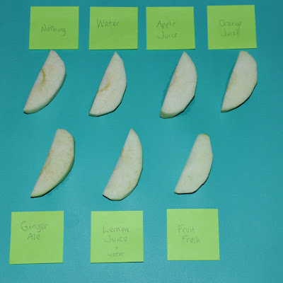 The Great Apple Browning Experiment | BentOnBetterLunches