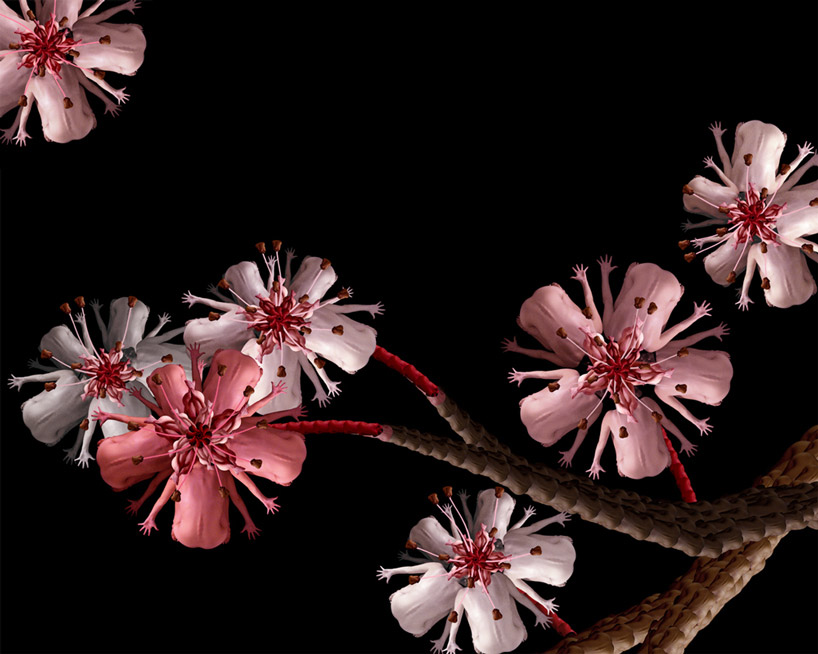 Create your Cosmos: Humanoid flowers