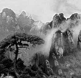 kabisdak: hubad sa balak ni Mary Oliver